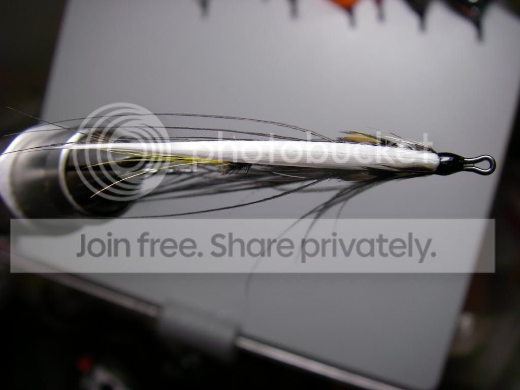 Coachman Style Spey | North Eastern Fly Fishing