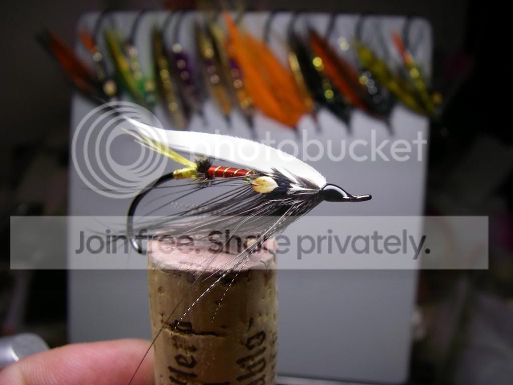 Coachman Style Spey | North Eastern Fly Fishing