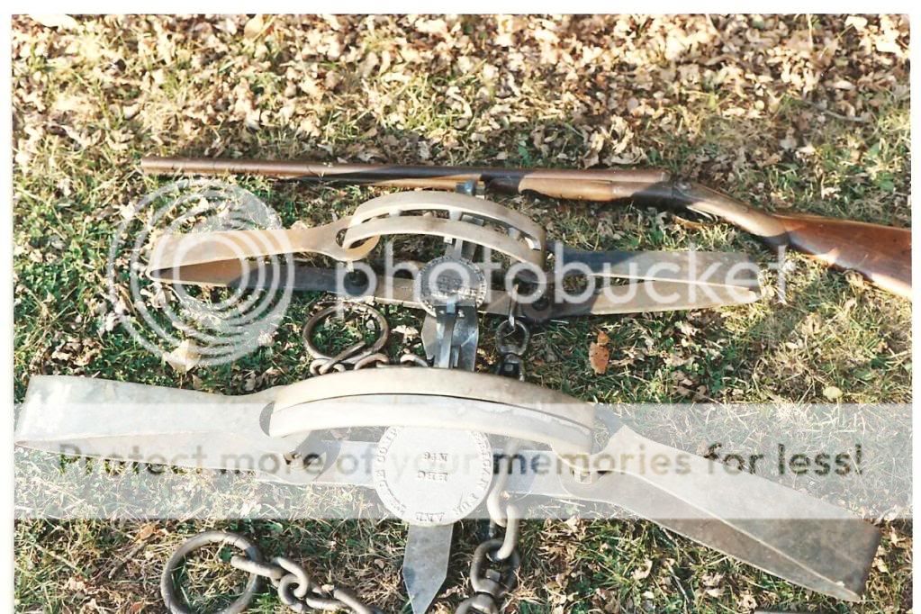 Bear traps | Bushcraft USA Forums